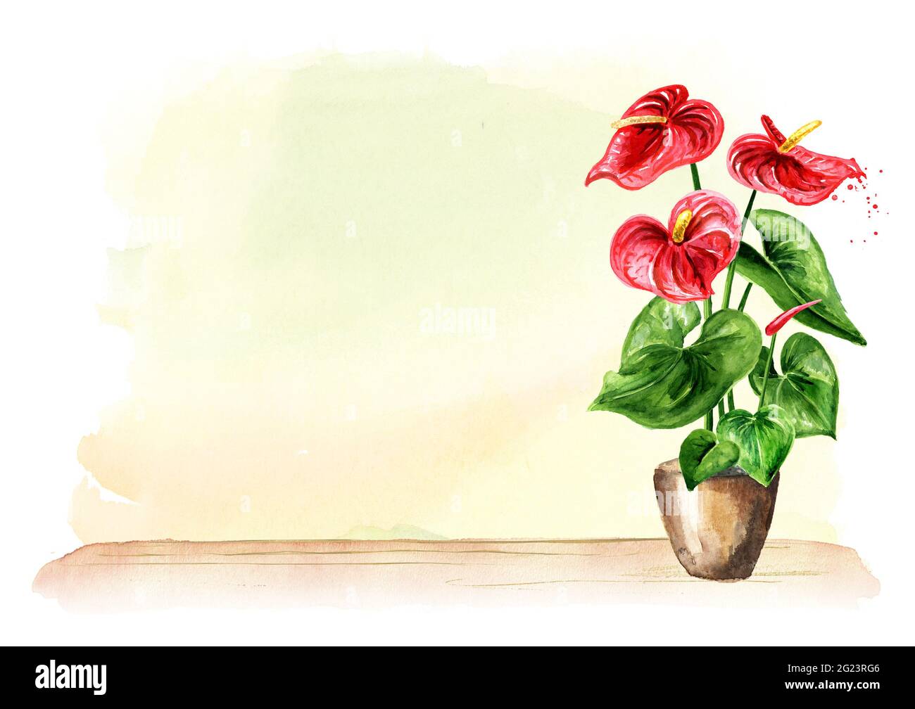 Anthurium Flower Drawing