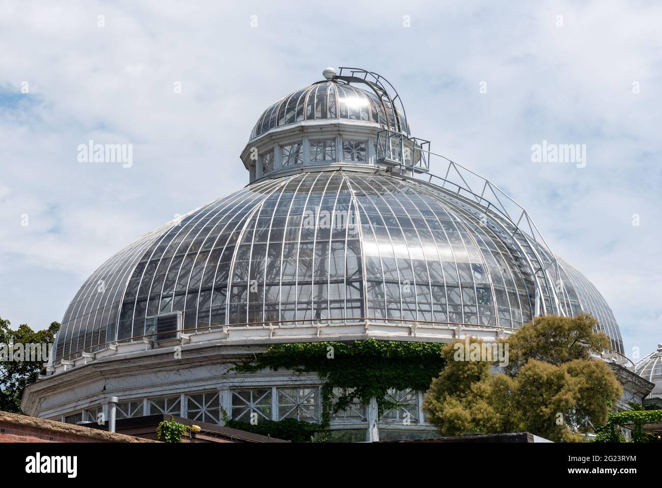 Allan Gardens Conservatory, Glass Dome, Toronto, Canada Stock Photo - Alamy