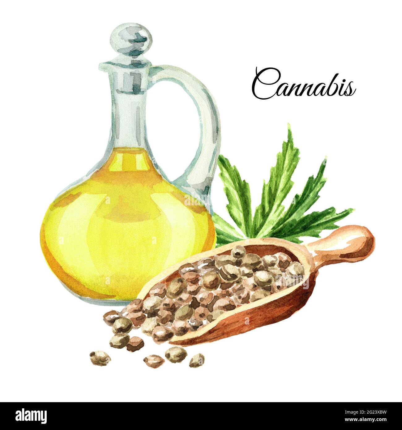 Hemp oil, seeds and cannabis leaves, medicinal herb plant. Hand drawn ...