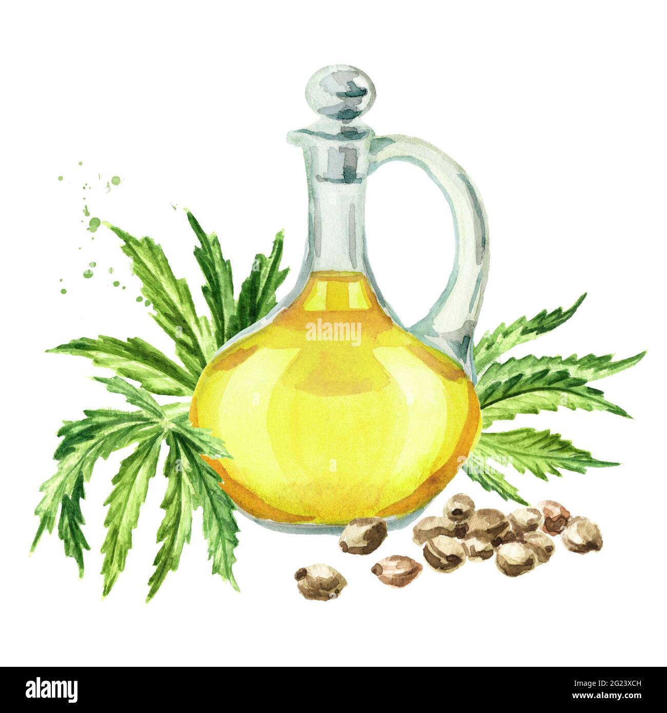 Hemp oil, seeds and cannabis leaves, medicinal herb plant. Hand drawn ...