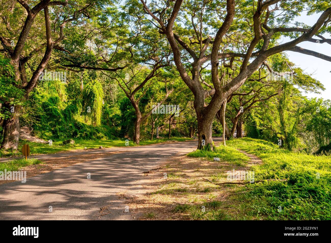 Almendares River Park, Havana, Cuba Stock Photo - Alamy