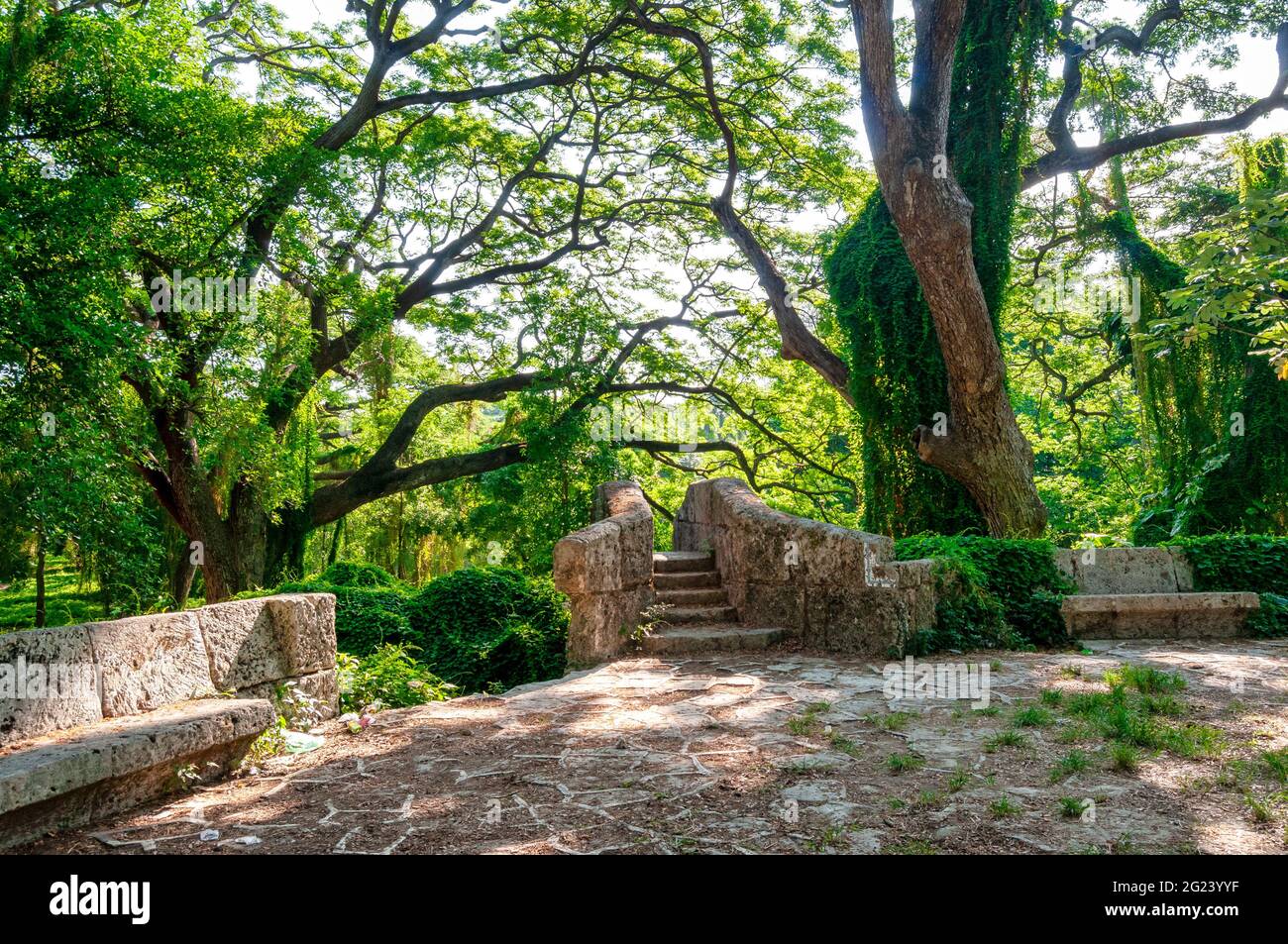 Almendares River Park, Havana, Cuba Stock Photo - Alamy