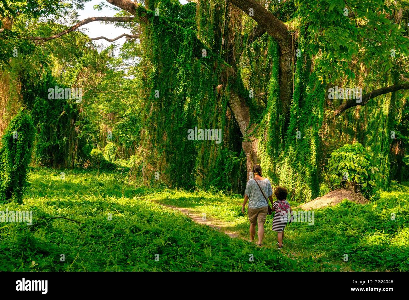Almendares River Park, Havana, Cuba Stock Photo - Alamy
