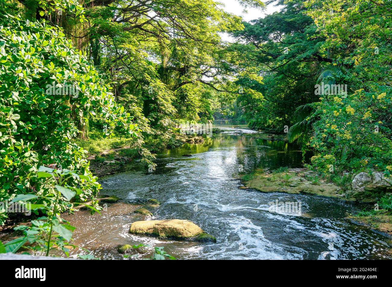 Almendares River