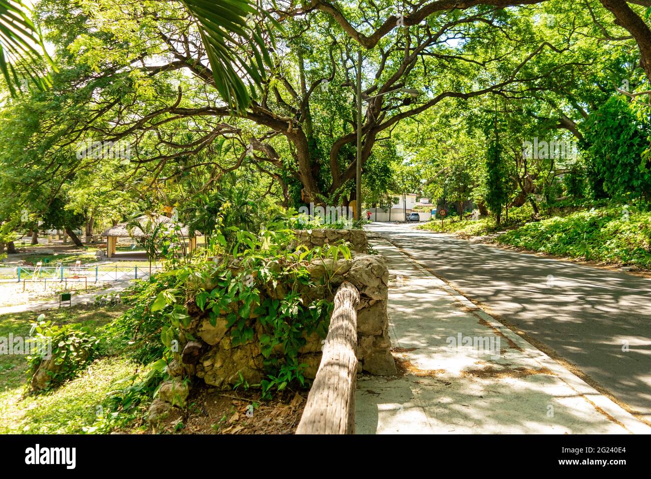 Almendares river hi-res stock photography and images - Alamy