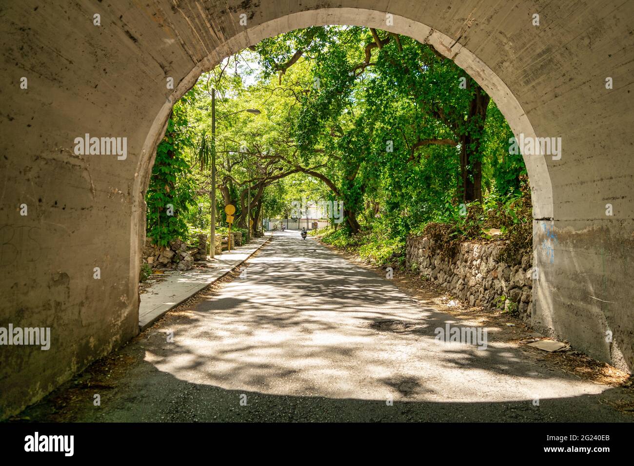 Almendares River Park, Havana, Cuba Stock Photo - Alamy