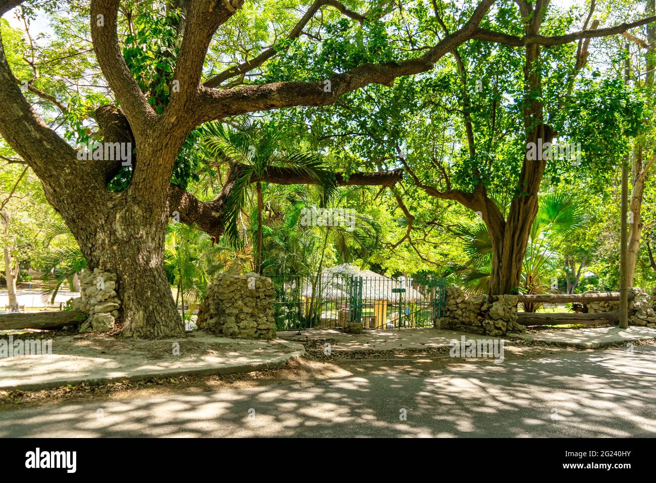 Almendares River Park, Havana, Cuba Stock Photo - Alamy
