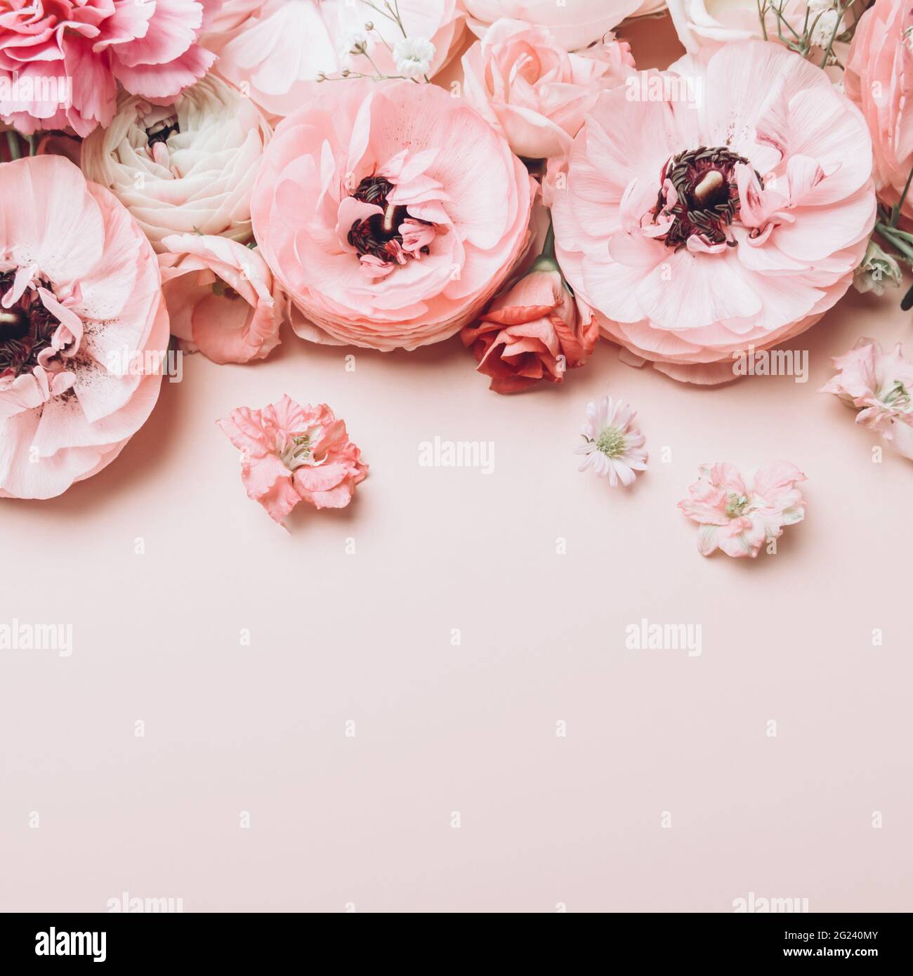 Floral arrangments of tender ranunculus flowers Stock Photo - Alamy