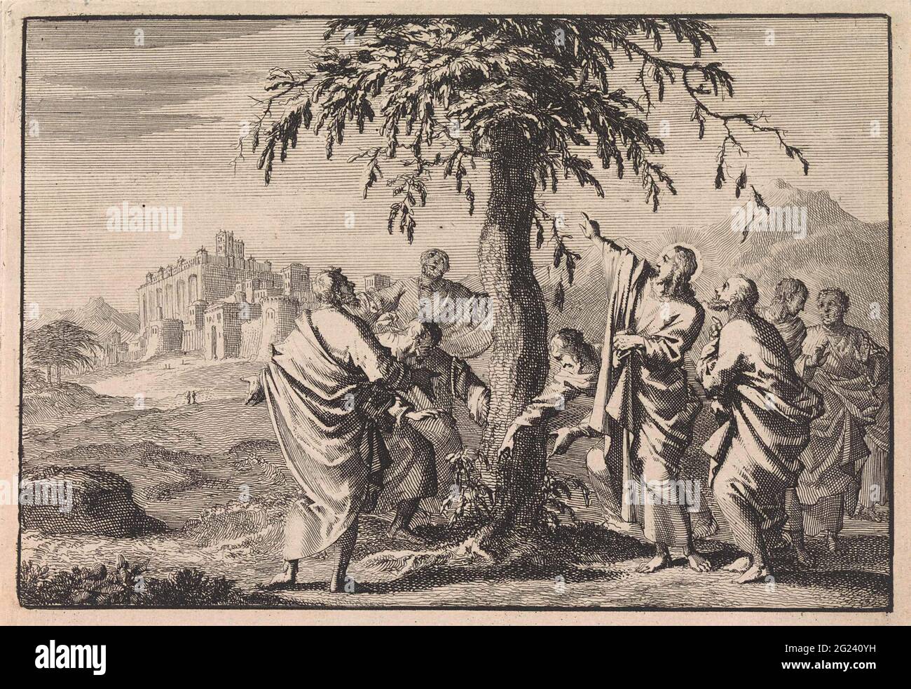 Christ and the fig tree sign Stock Photo - Alamy