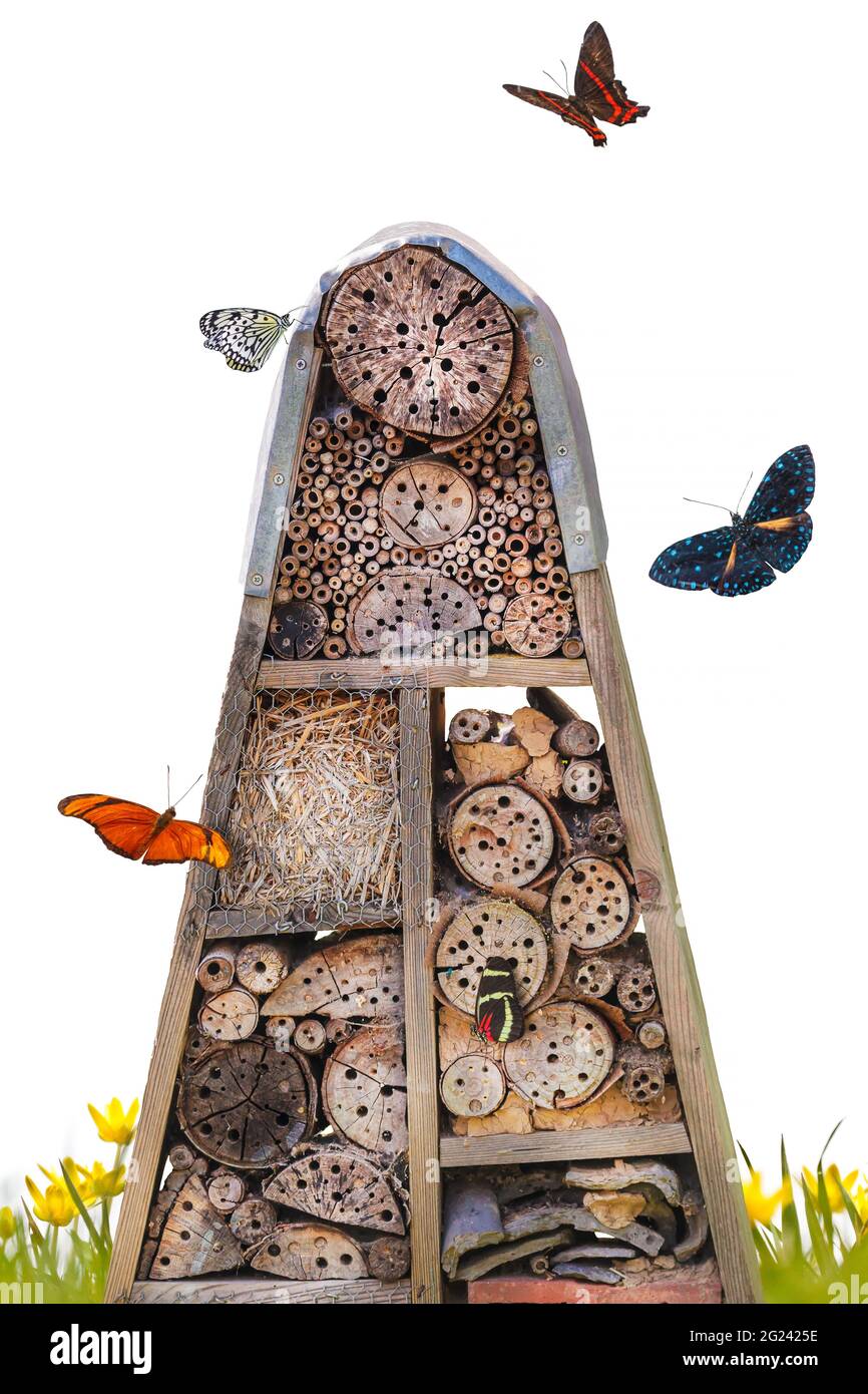 Insect hotel with flying butterflies isolated on a white background ...