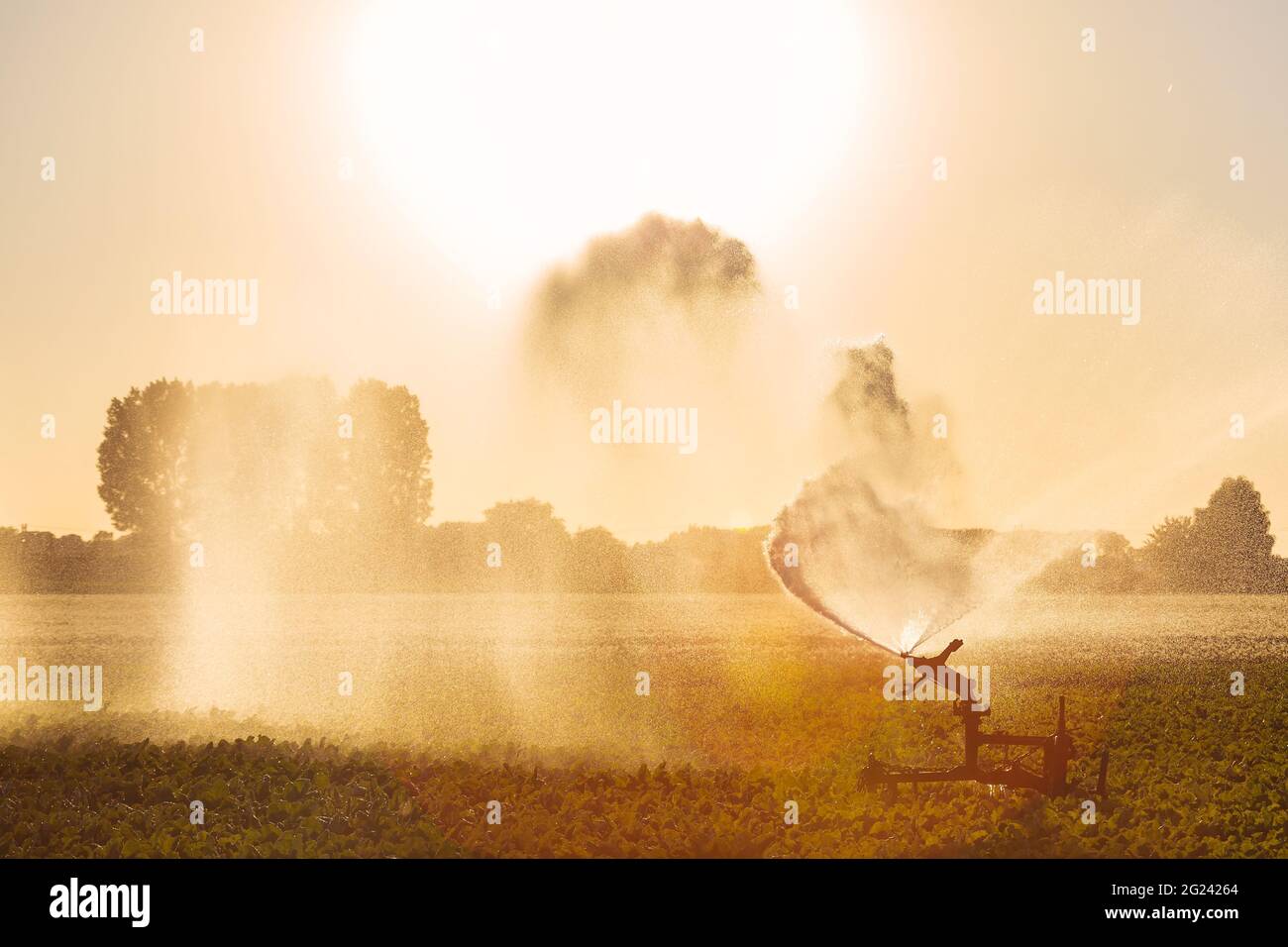 Irrigation sprinkler on farmland during severe drought in The ...