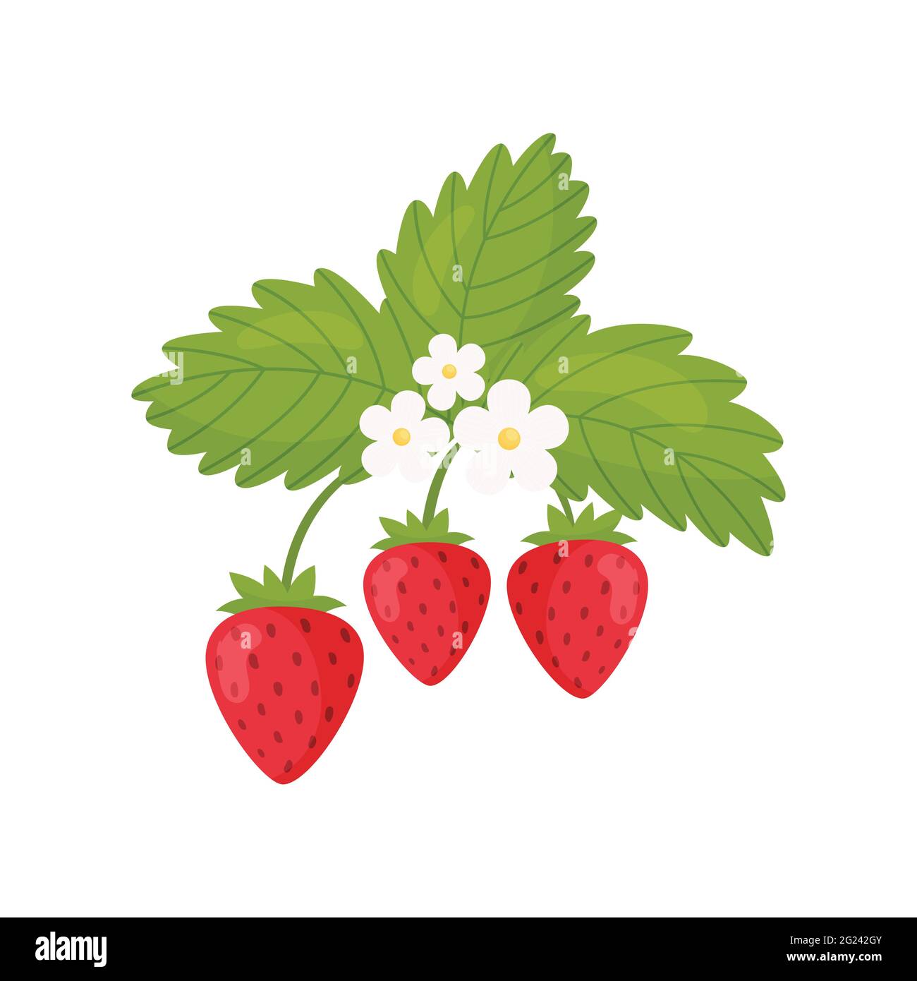 Strawberry Plant Clip Art