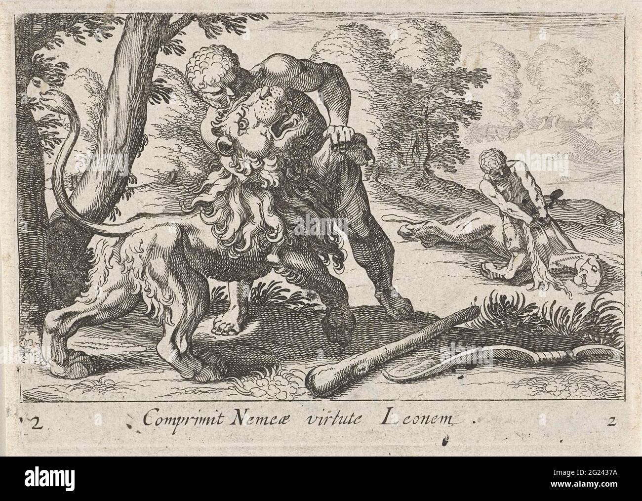 Cloak nemean lion hi-res stock photography and images - Alamy