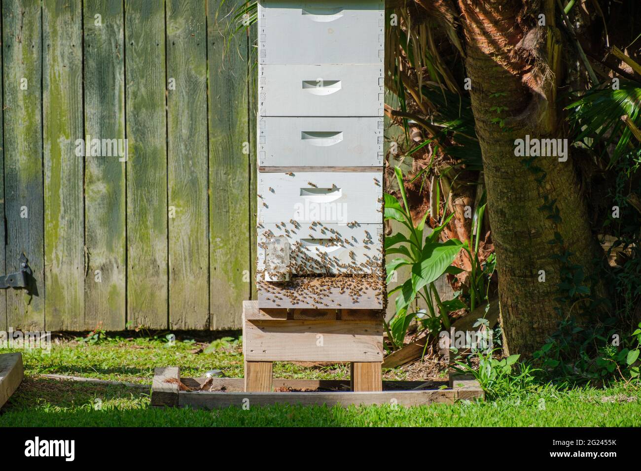 Vintage bee hive hi-res stock photography and images - Alamy