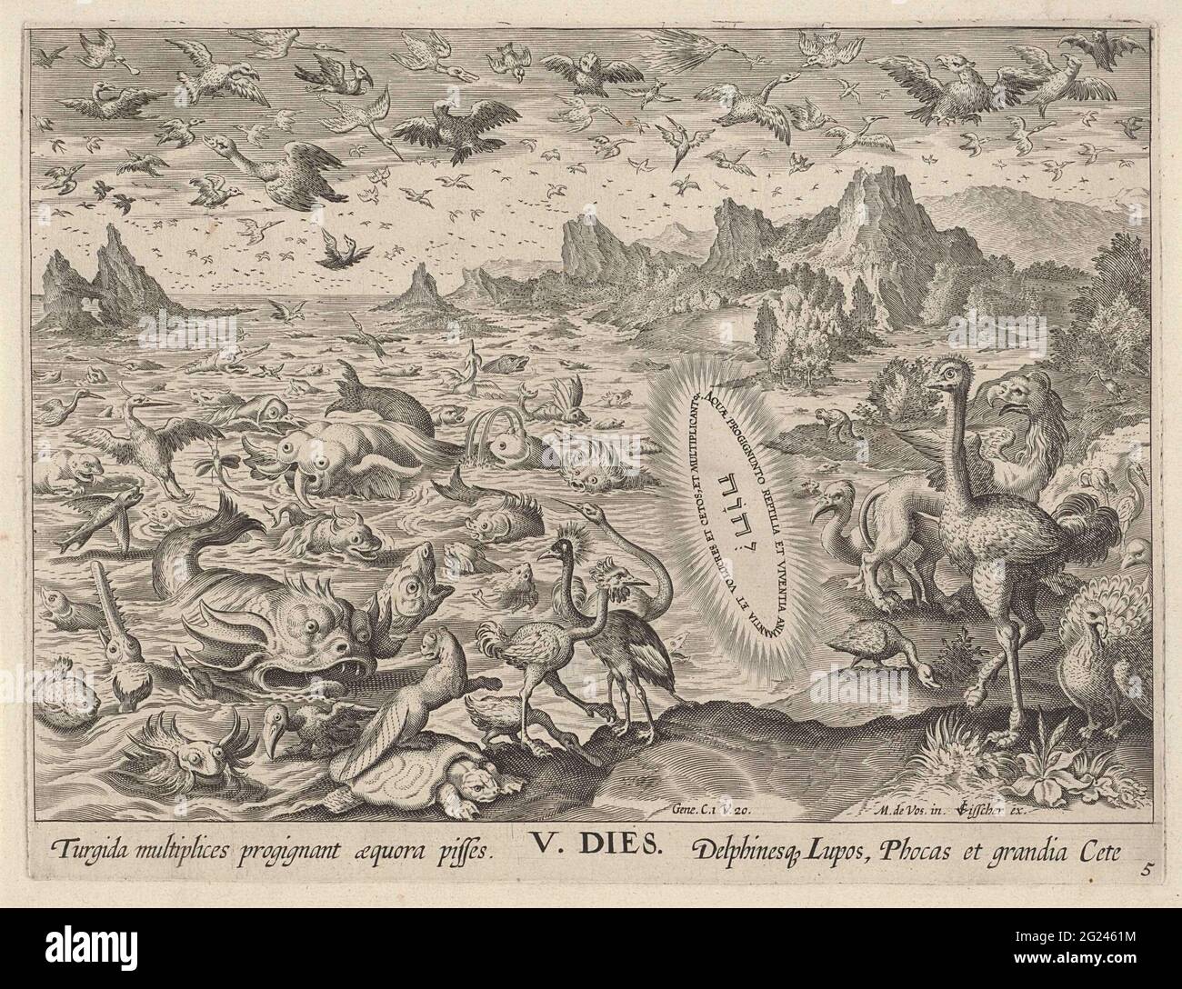 Creation of the birds and the marine animals; Creation of the world. In ...
