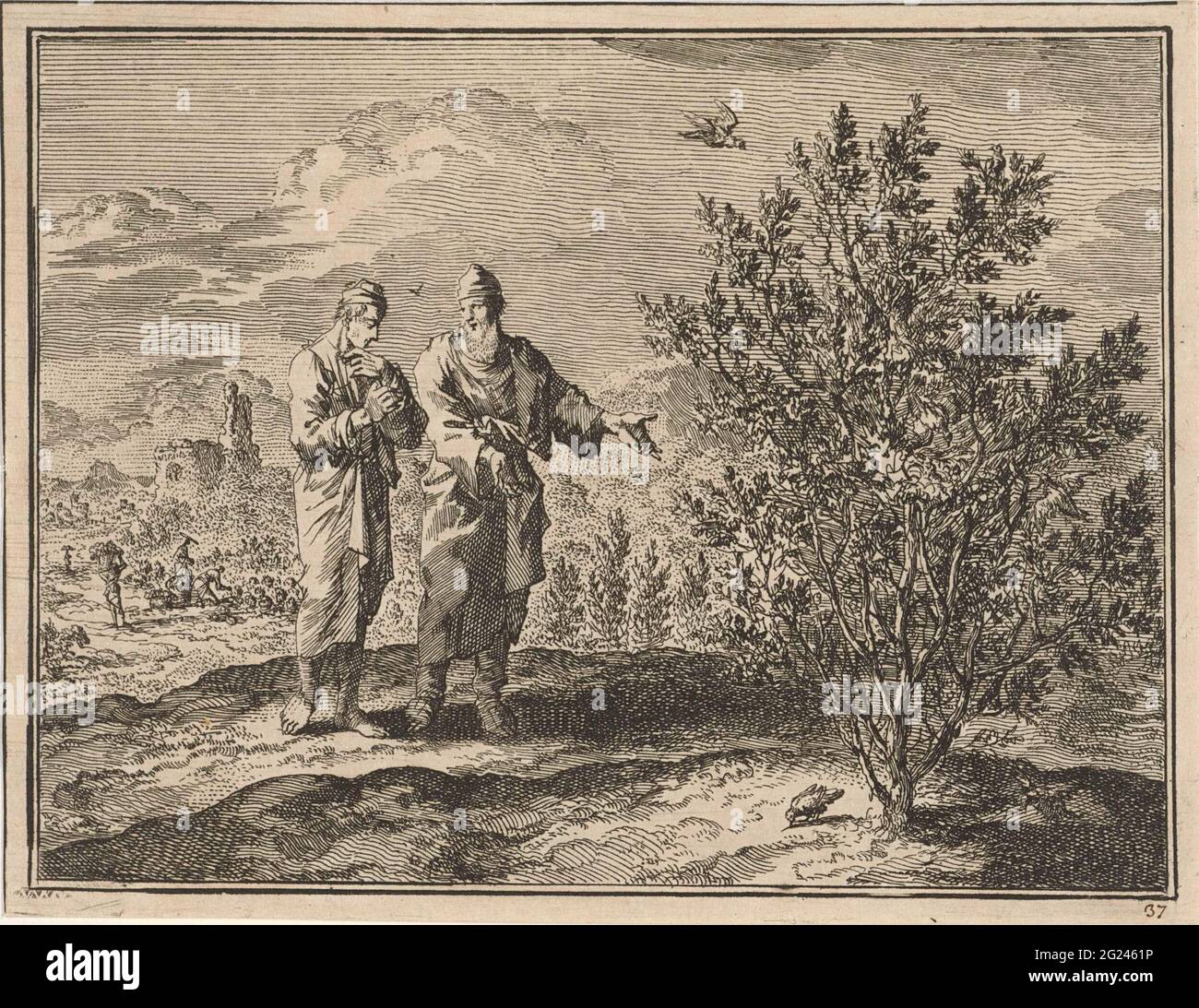 Two men consider a shrub, raised from mustard seeds Stock Photo - Alamy