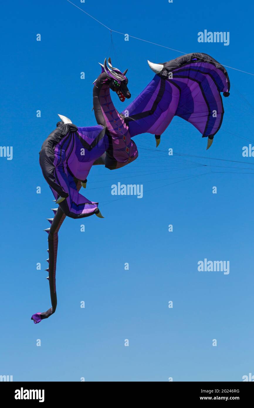 Dragon kite flying in the air against blue sky at Poole, Dorset UK in ...