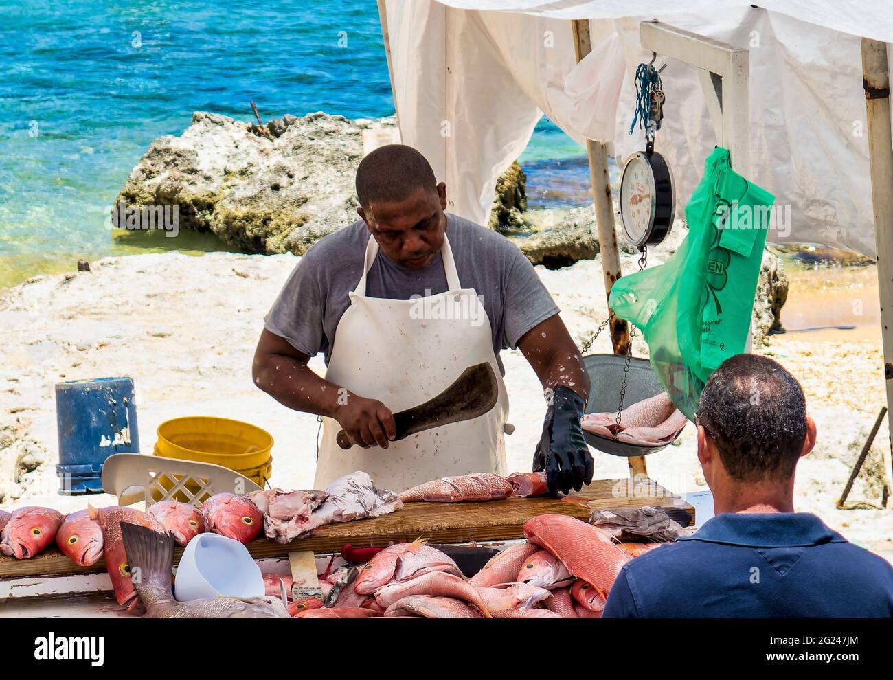 Fishmonger serves up freshly caught fish on a Caribbean island beach ...
