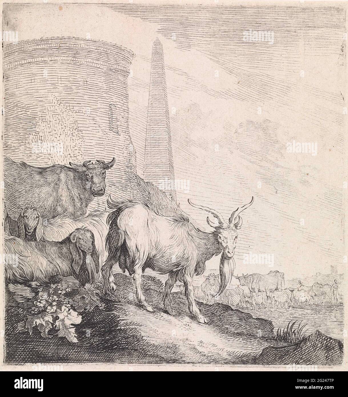 Goats and cows at a round tower with an obelisk; Four-footed animals ...