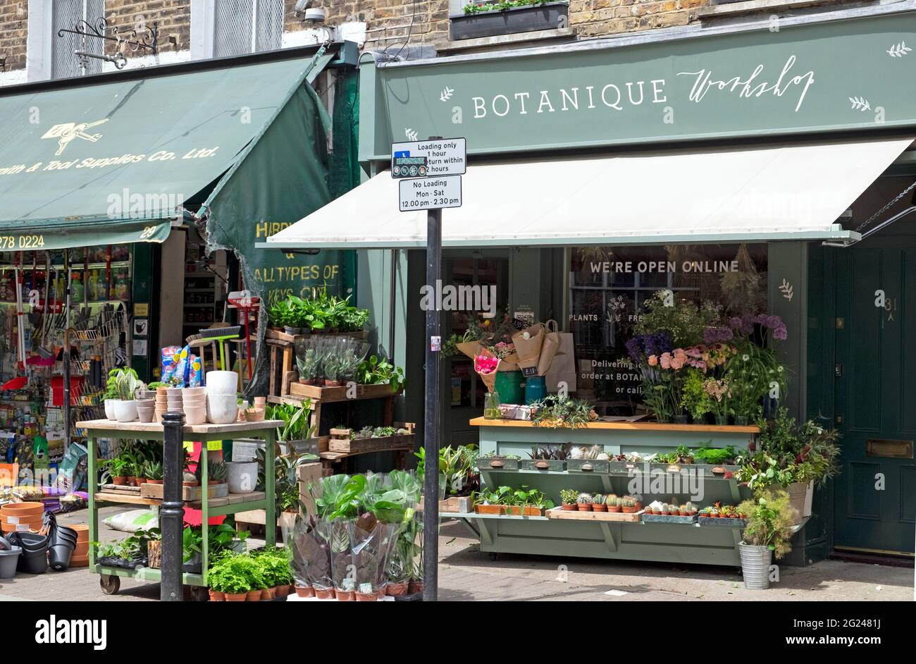Botanique Workshop florist with plants in pots for sale outside Exmouth ...