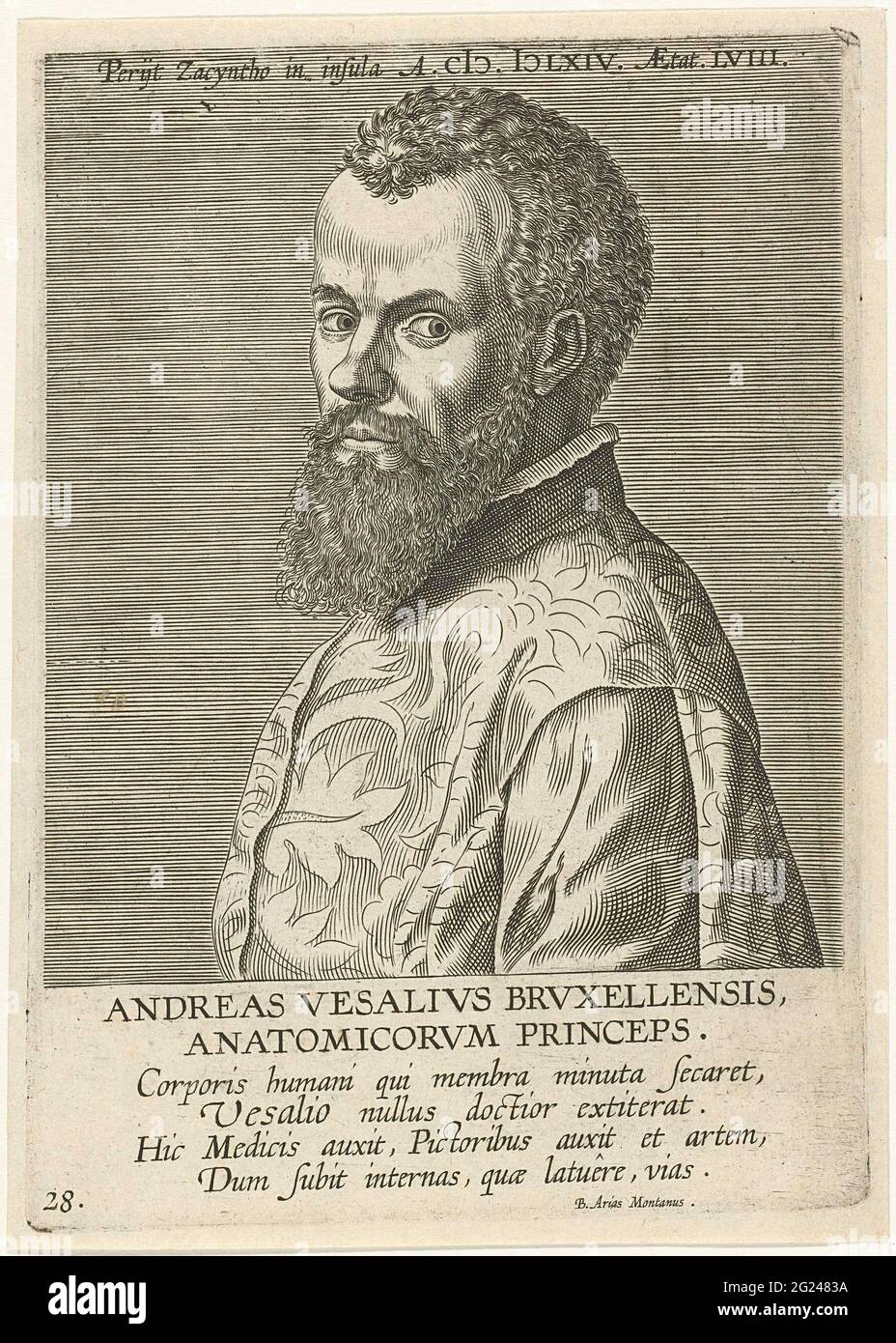 Portrait of Andreas Vesalius; Andreas Vesalivs Brvxellensis; Portraits ...
