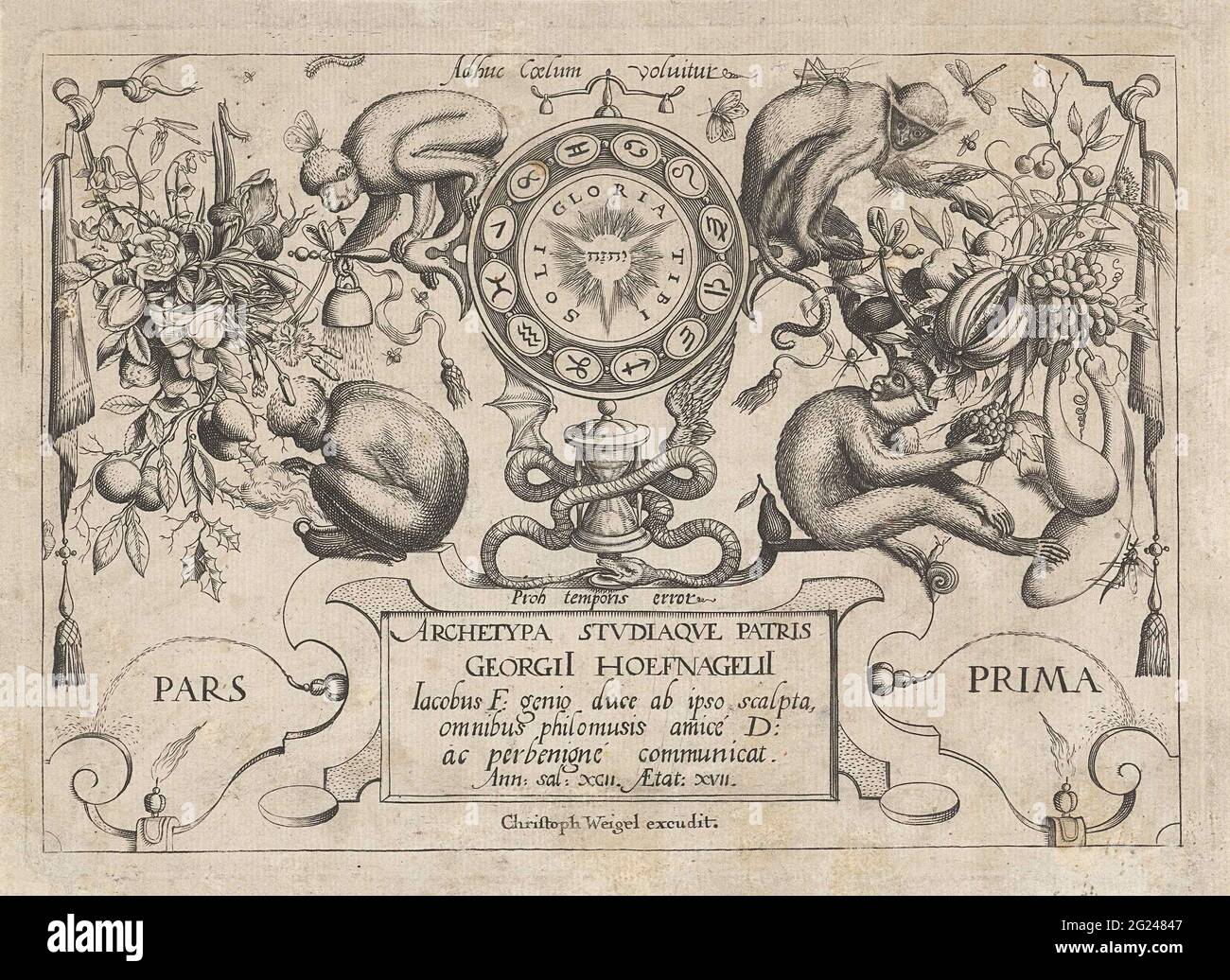 Zodiac insects hi-res stock photography and images - Alamy