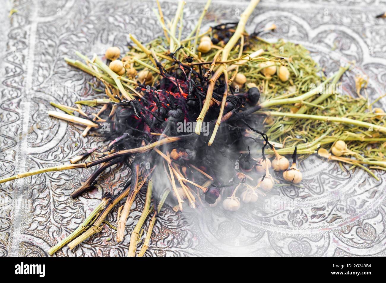 Harmala burning hi-res stock photography and images - Alamy