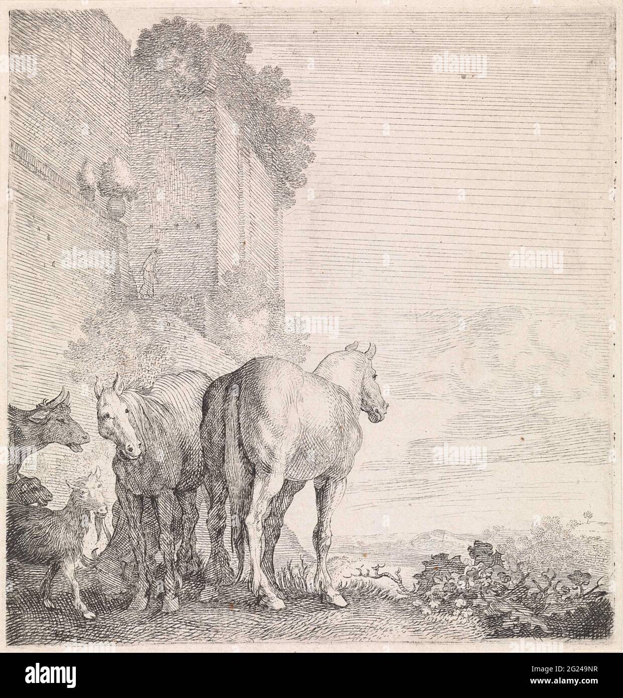 Wall four footed animals hi-res stock photography and images - Alamy