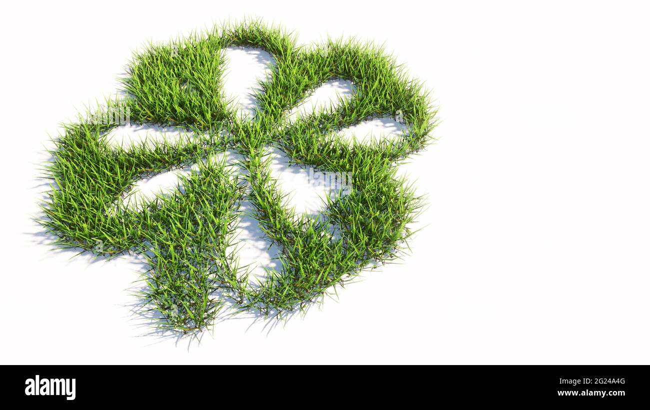 Concept or conceptual green summer lawn grass isolated on white ...