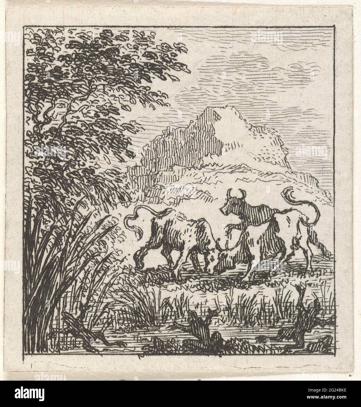 Fabulic of the bulls in battle; Illustrations for fabber stories from ...