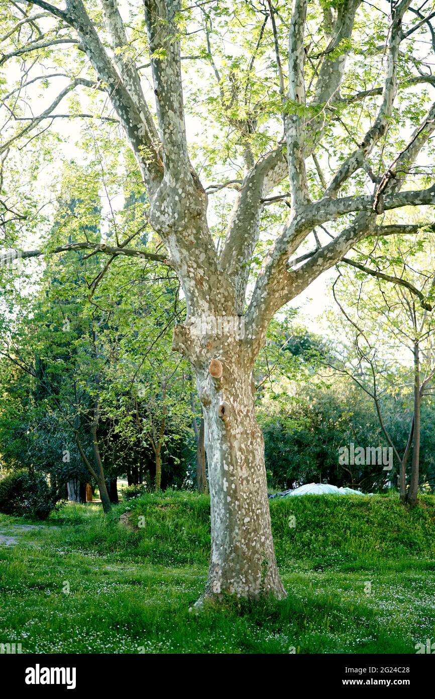 Sprawling structure hi-res stock photography and images - Alamy