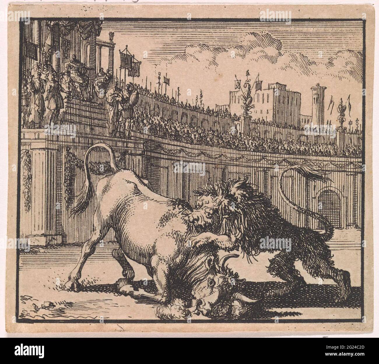 Battle between a bull and a lion in an amphitheater in Jerusalem Stock ...