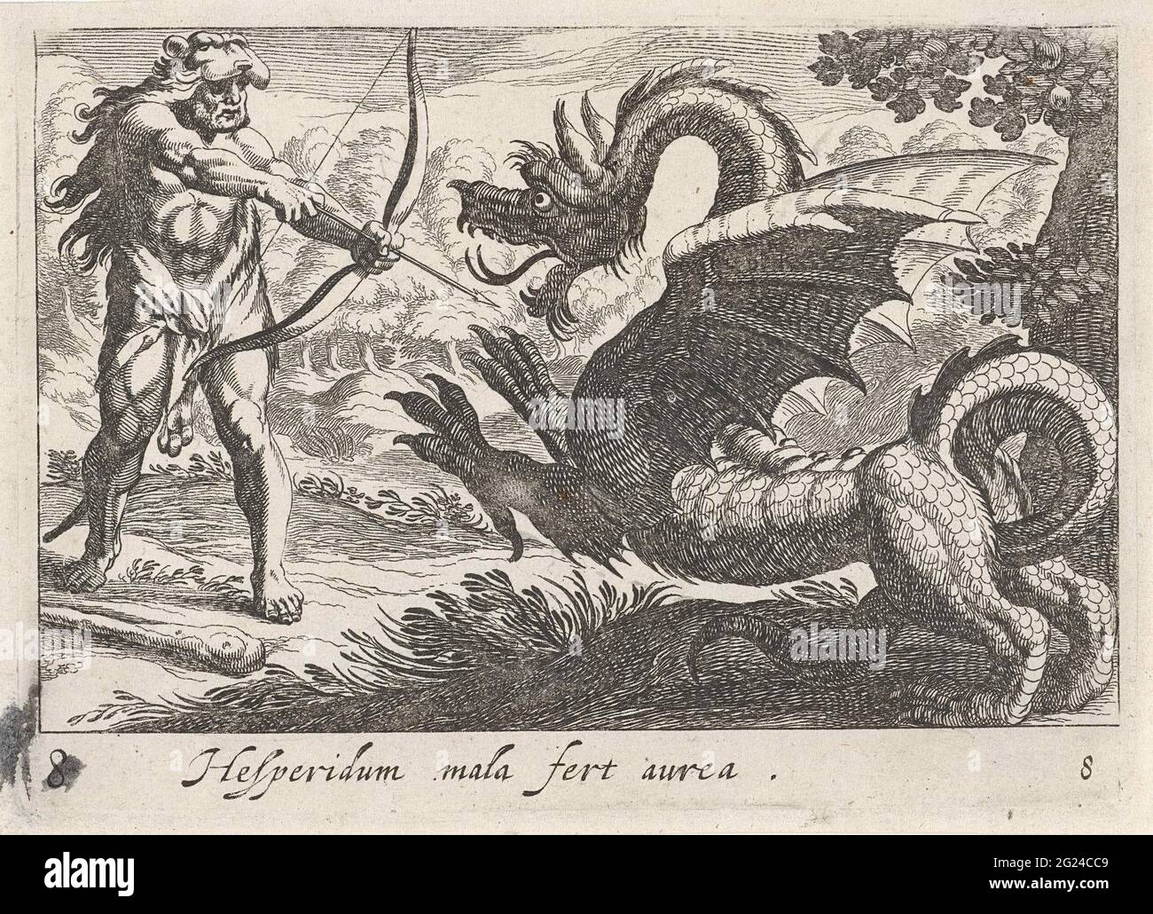 Hercules kills the dragon ladon; Hesperidum Mala Fert Aurea; Herculean ...