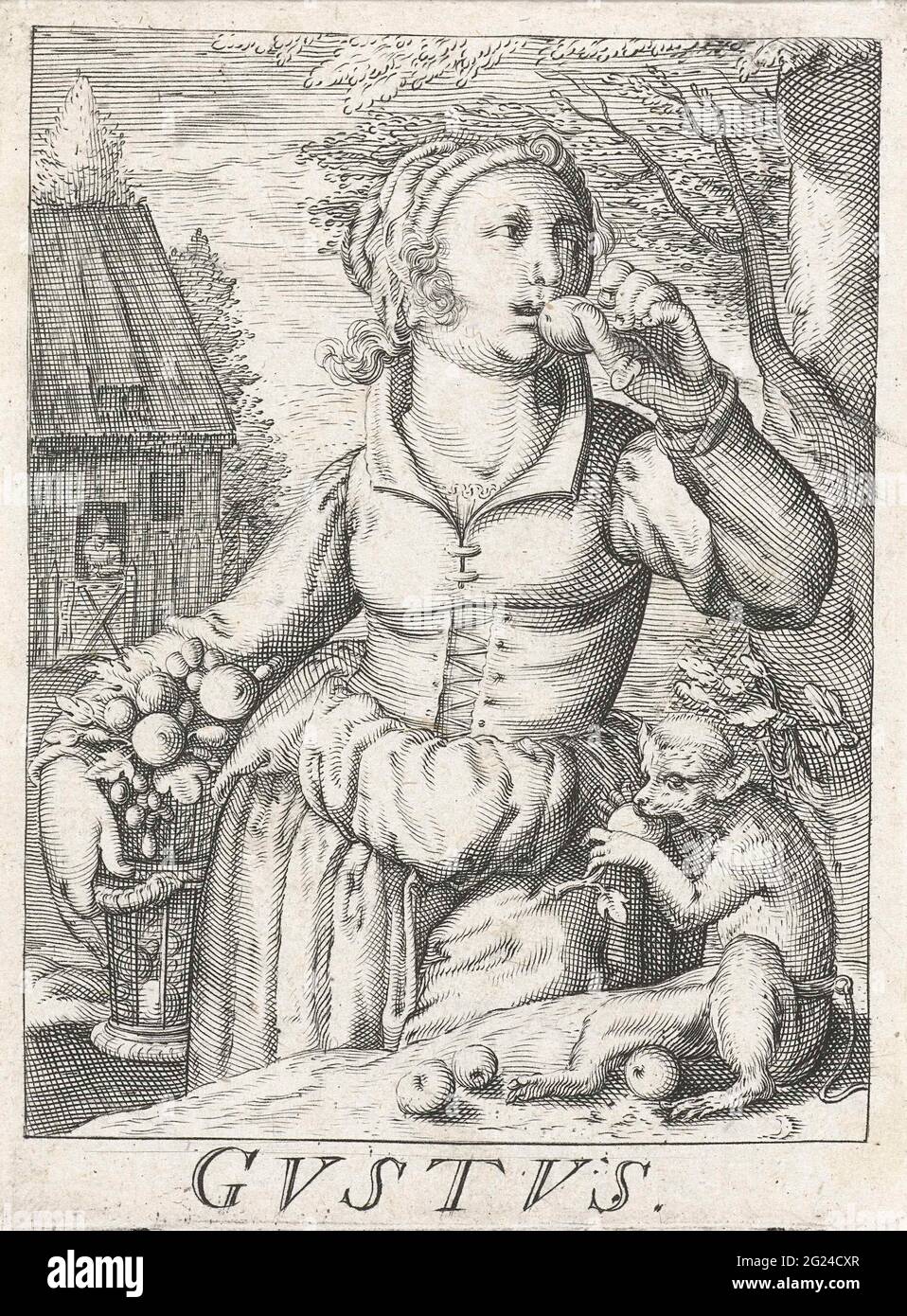 Gustus hi-res stock photography and images - Alamy