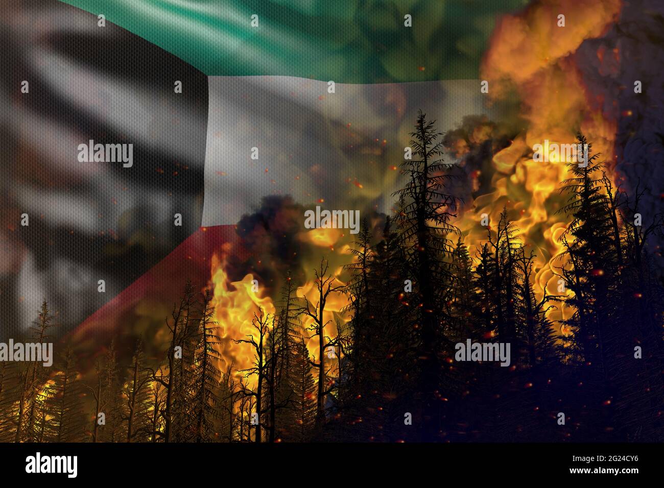 Forest fire natural disaster concept - infernal fire in the woods on ...