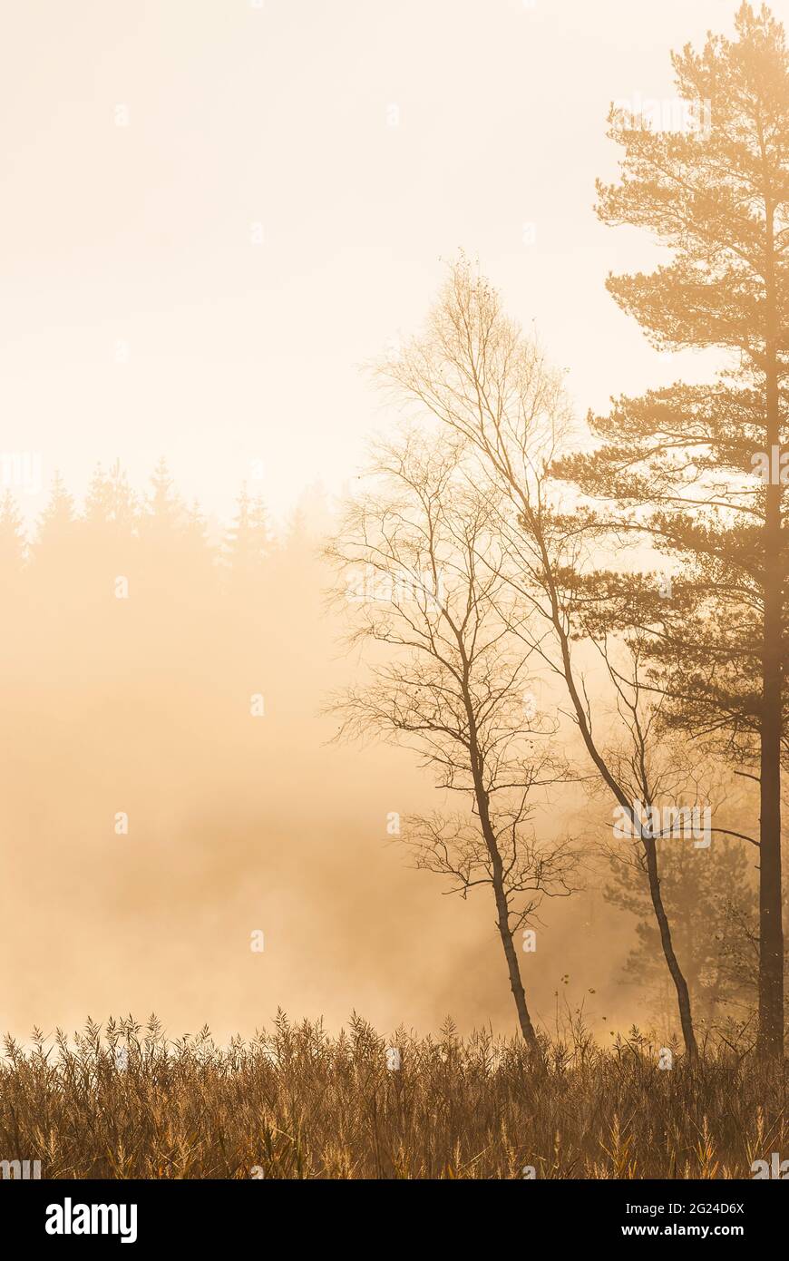 Calm misty atmosphere hi-res stock photography and images - Alamy