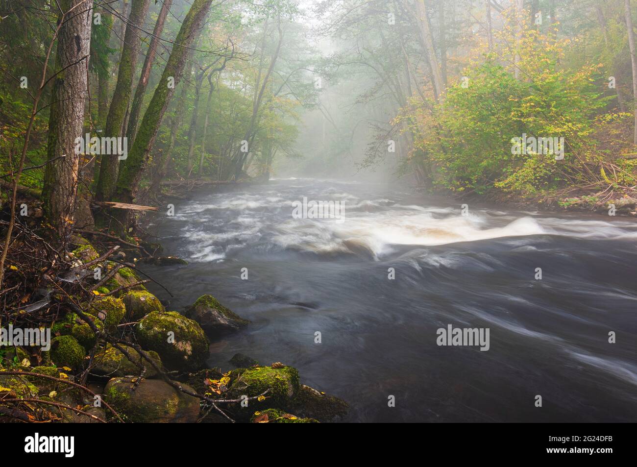 Water flowing in misty river Stock Photo - Alamy