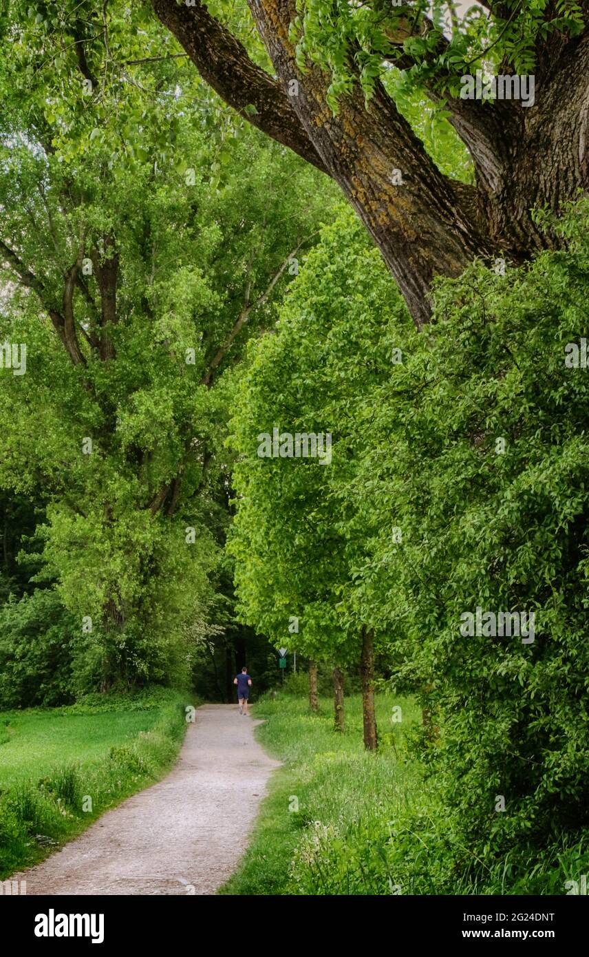 solitary young man jogging on a countryside path Stock Photo - Alamy