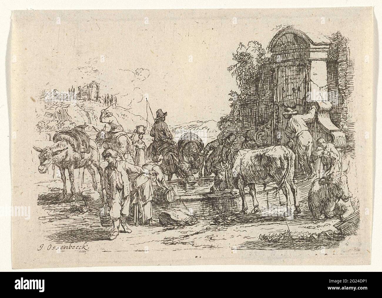 Drinking cattle at a source Stock Photo - Alamy