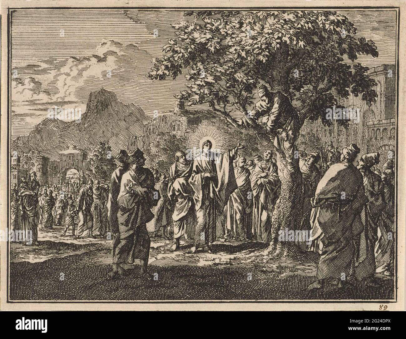 Zacheus in the fig tree Stock Photo - Alamy