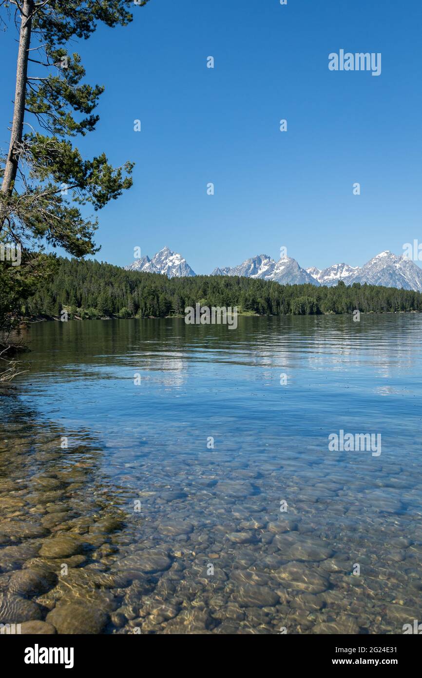 Mountain range reflected in Jackson Lake with rocks in foreground ...