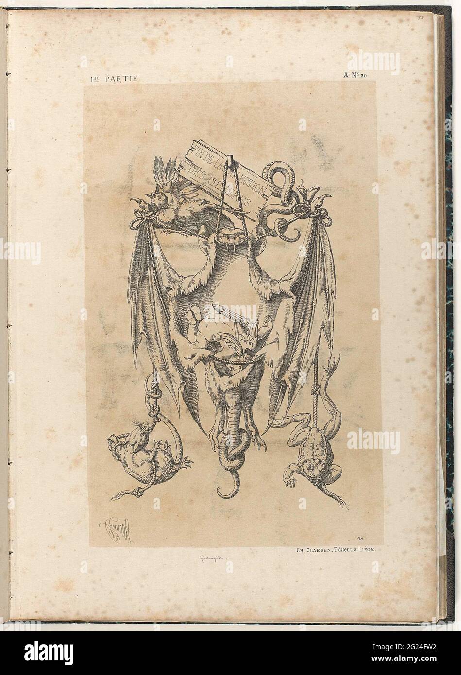 Abdominal fin hi-res stock photography and images - Alamy