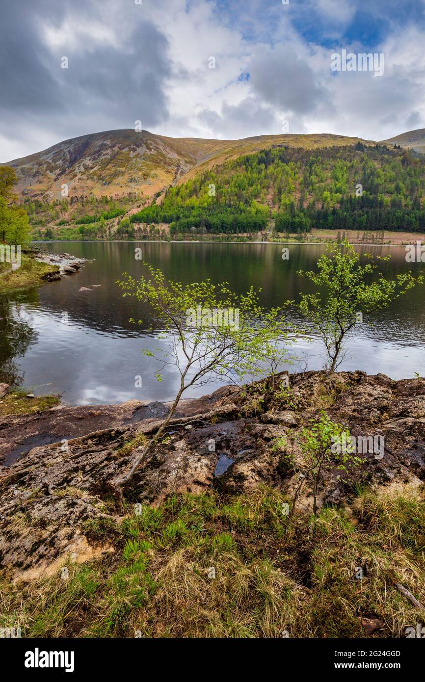 A view of Helvellyn across Thirlmere reservoir, Lake District, England ...