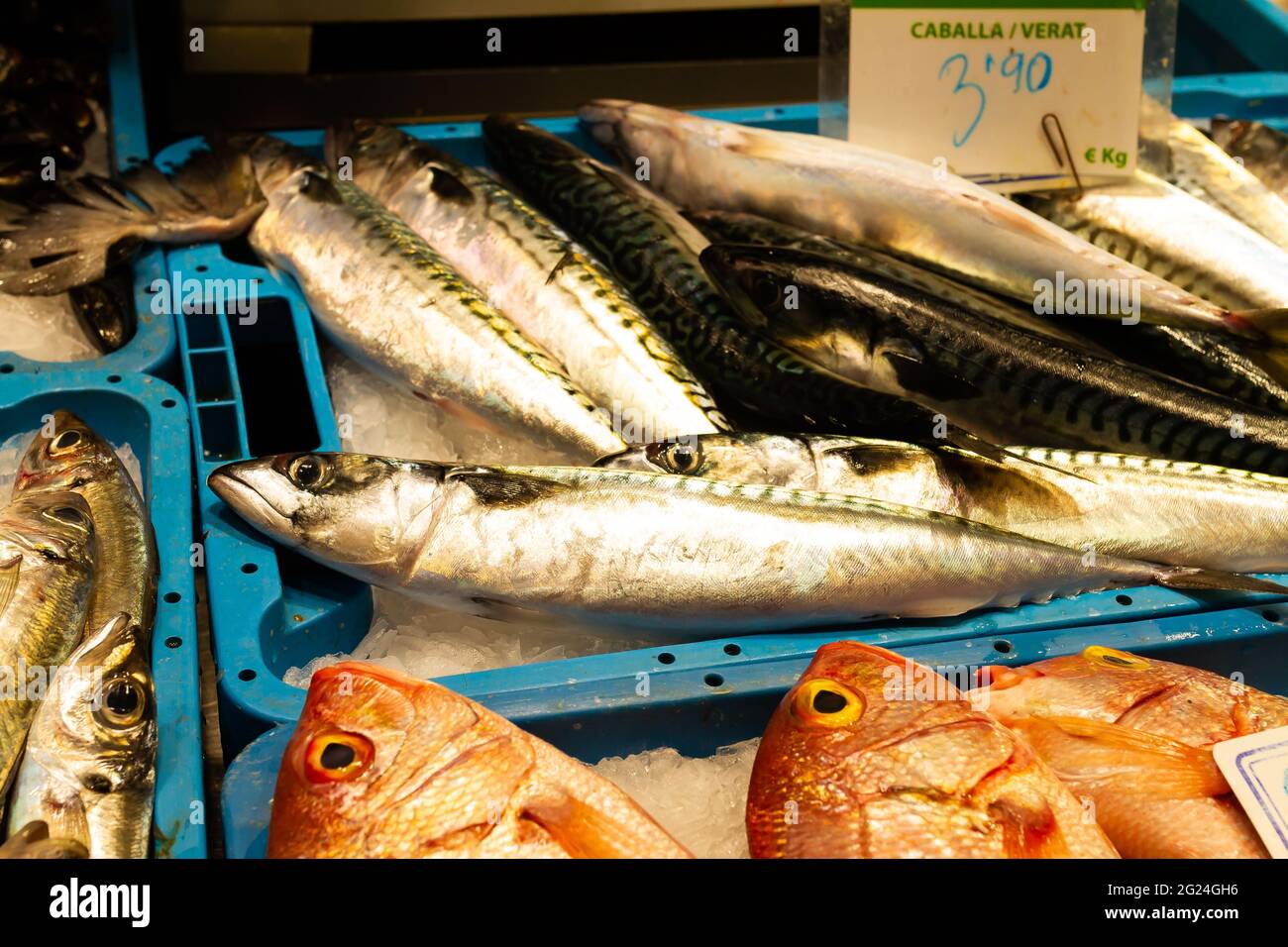 Closeup shot of fresh sea bream and mackerel displayed in a wet market ...