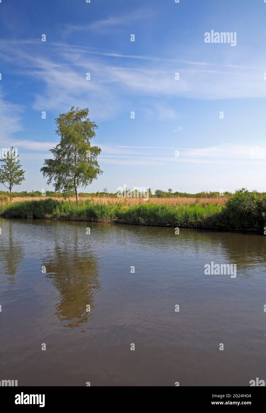 A view across the River Ant at Irstead Shoals to a fen and marsh ...