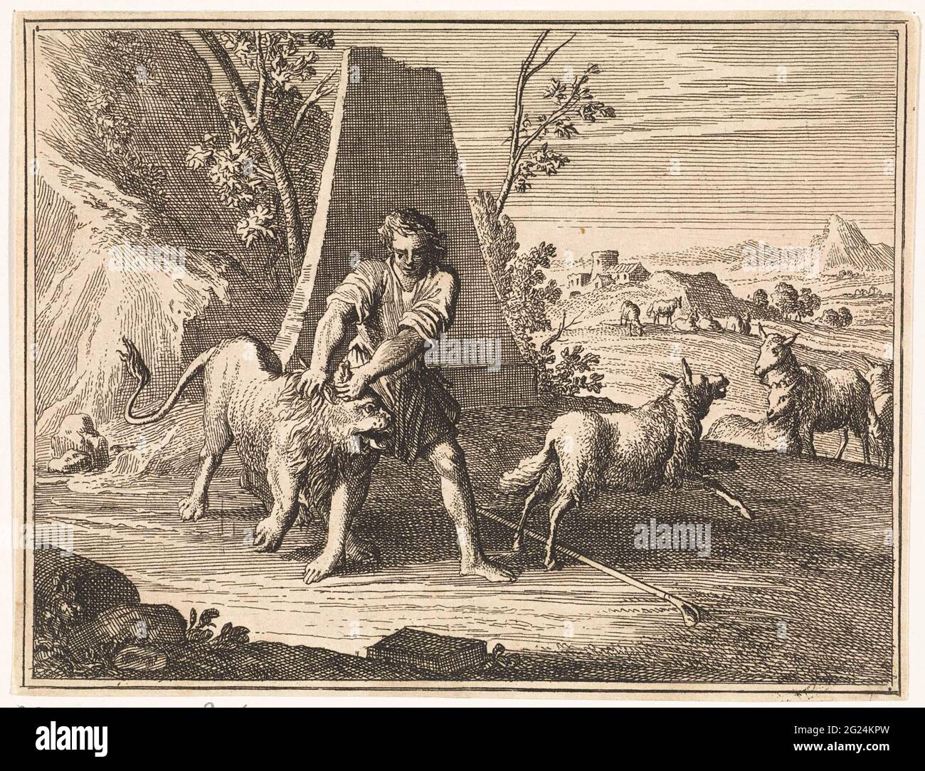 David and goliath animal hi-res stock photography and images - Alamy