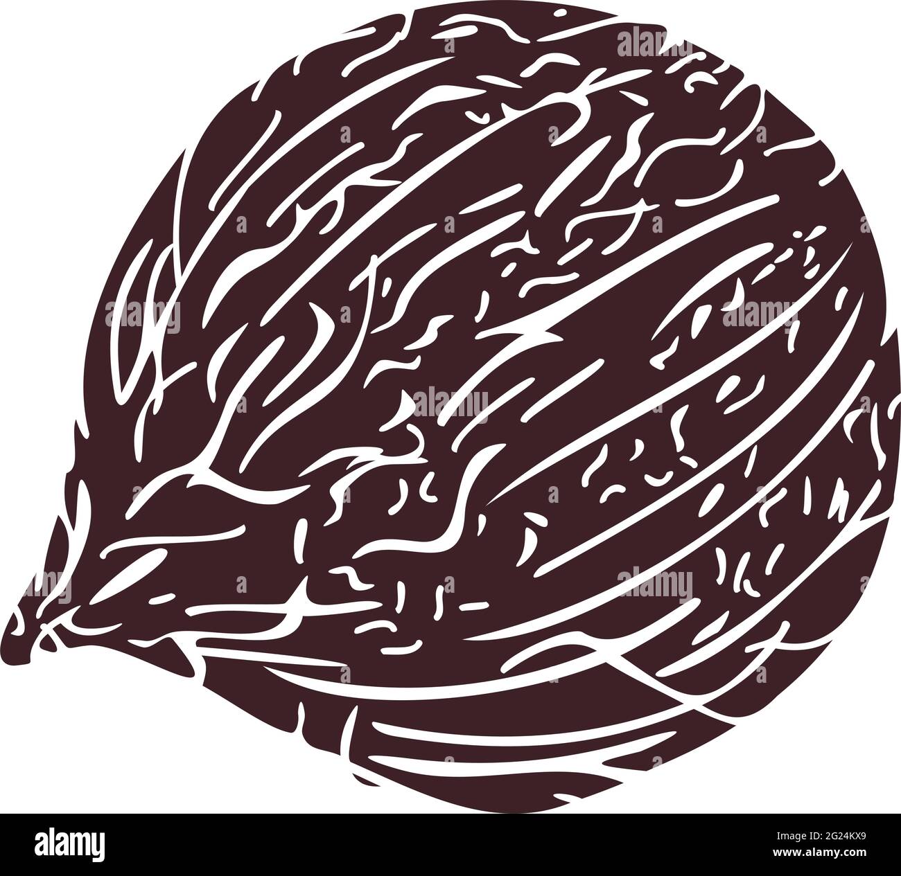 Coconut vector vectors hi-res stock photography and images - Alamy