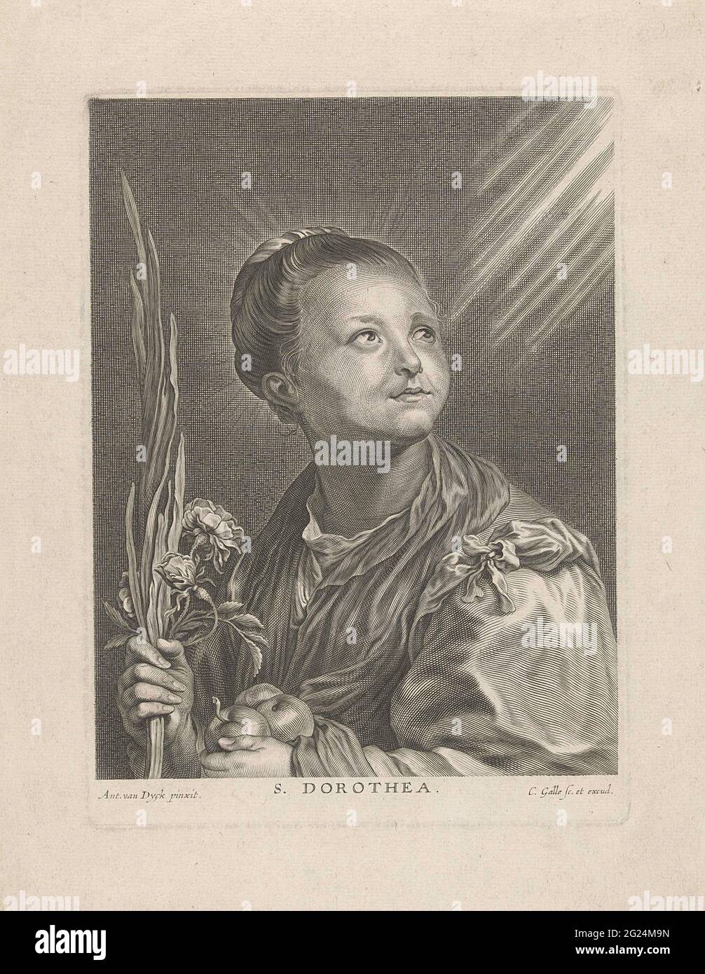 H. Dorothea. Saint Dorothea with fruits and flowers in her hands. To ...