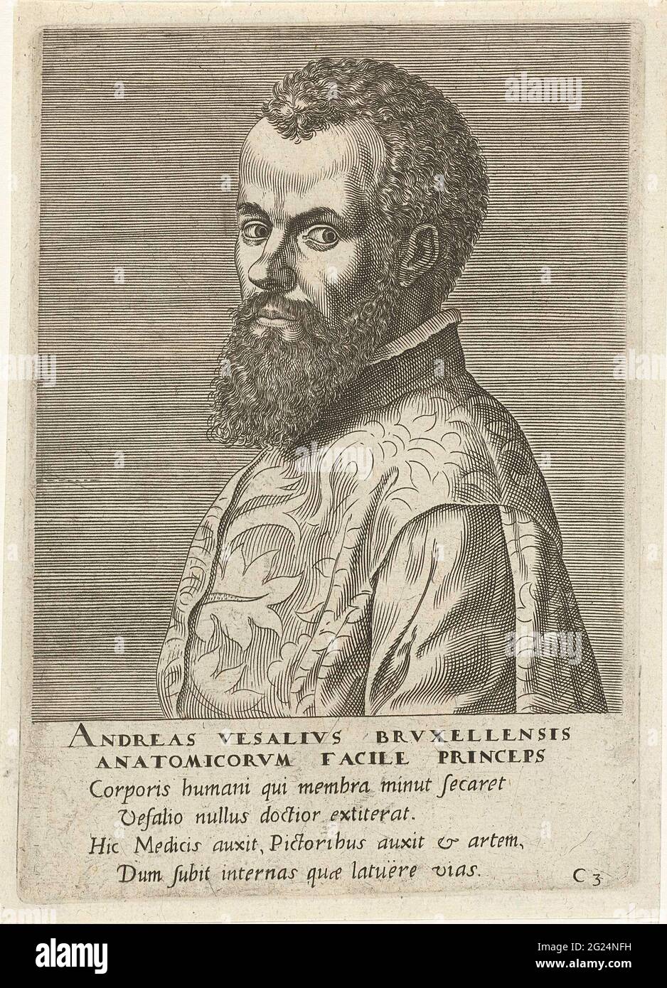 Portrait of Andreas Vesalius; Andreas Vesalivs Brvxellensis; Portraits ...