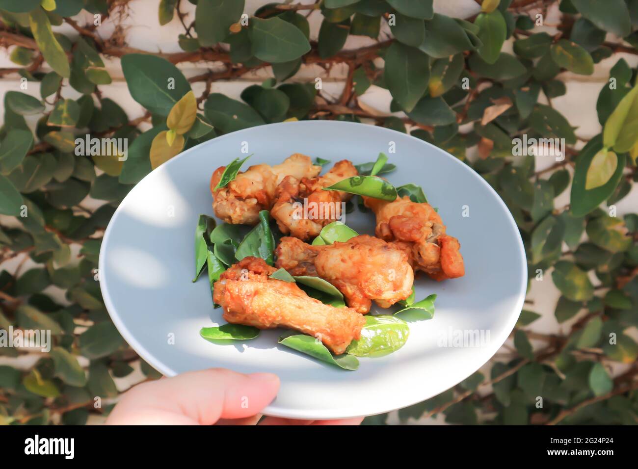 fried chicken ,deep fried chicken or grilled chicken and fried Kaffir ...